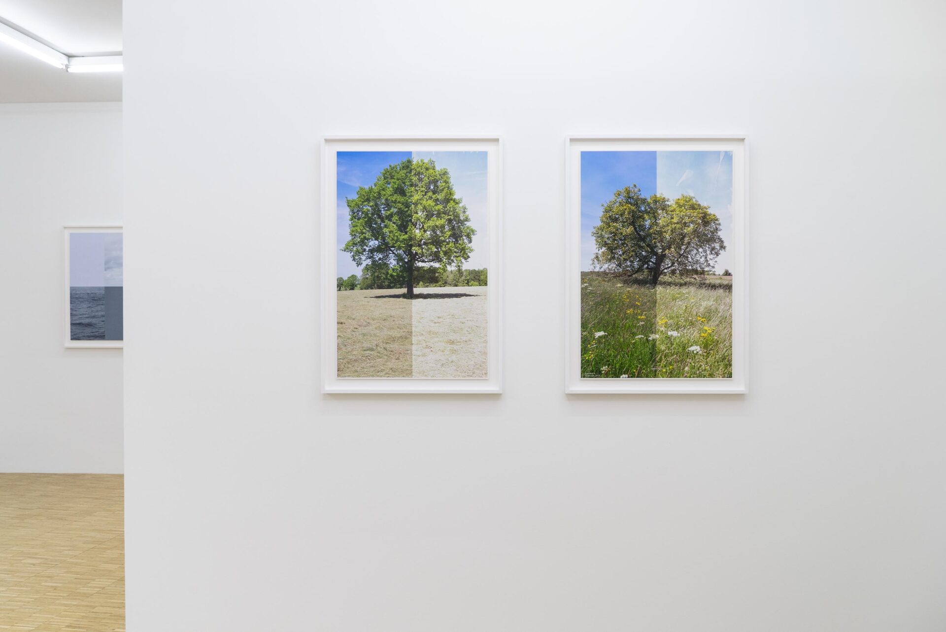 photoworks | Stijn Cole